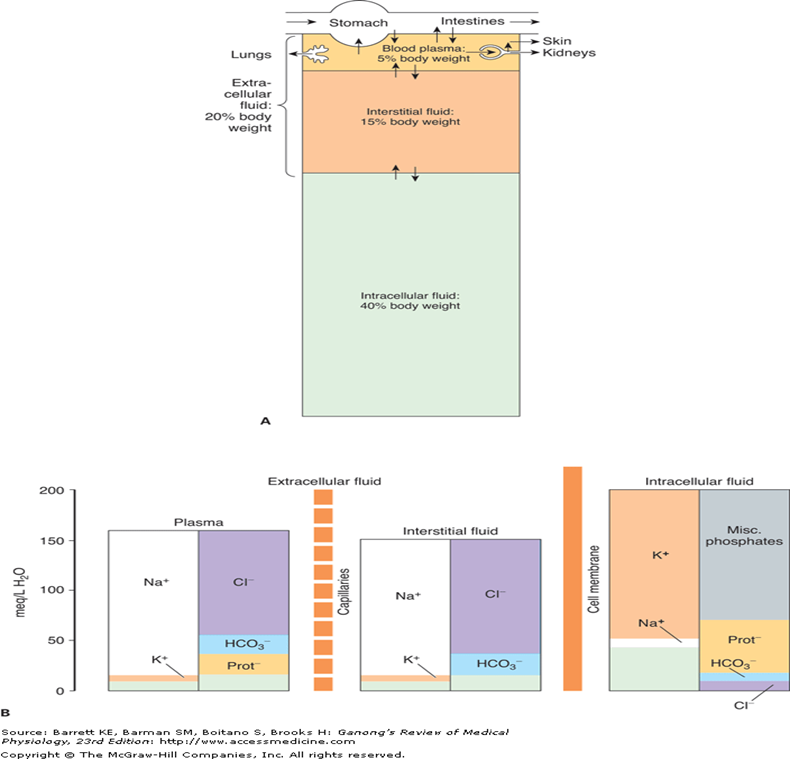 Physiology « Review of Critical Care Medicine