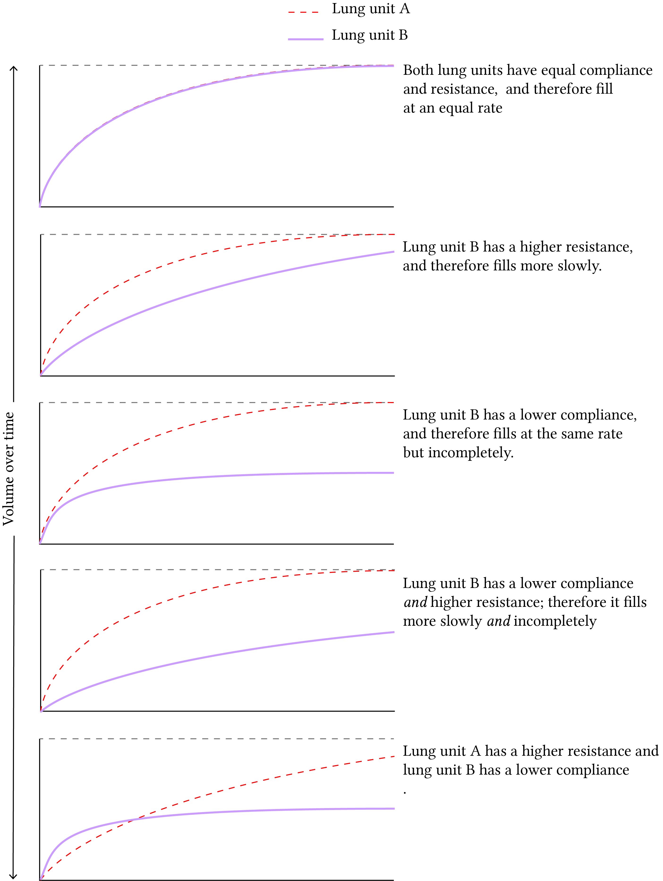 Time Constant of Lungs « Review of Critical Care Medicine