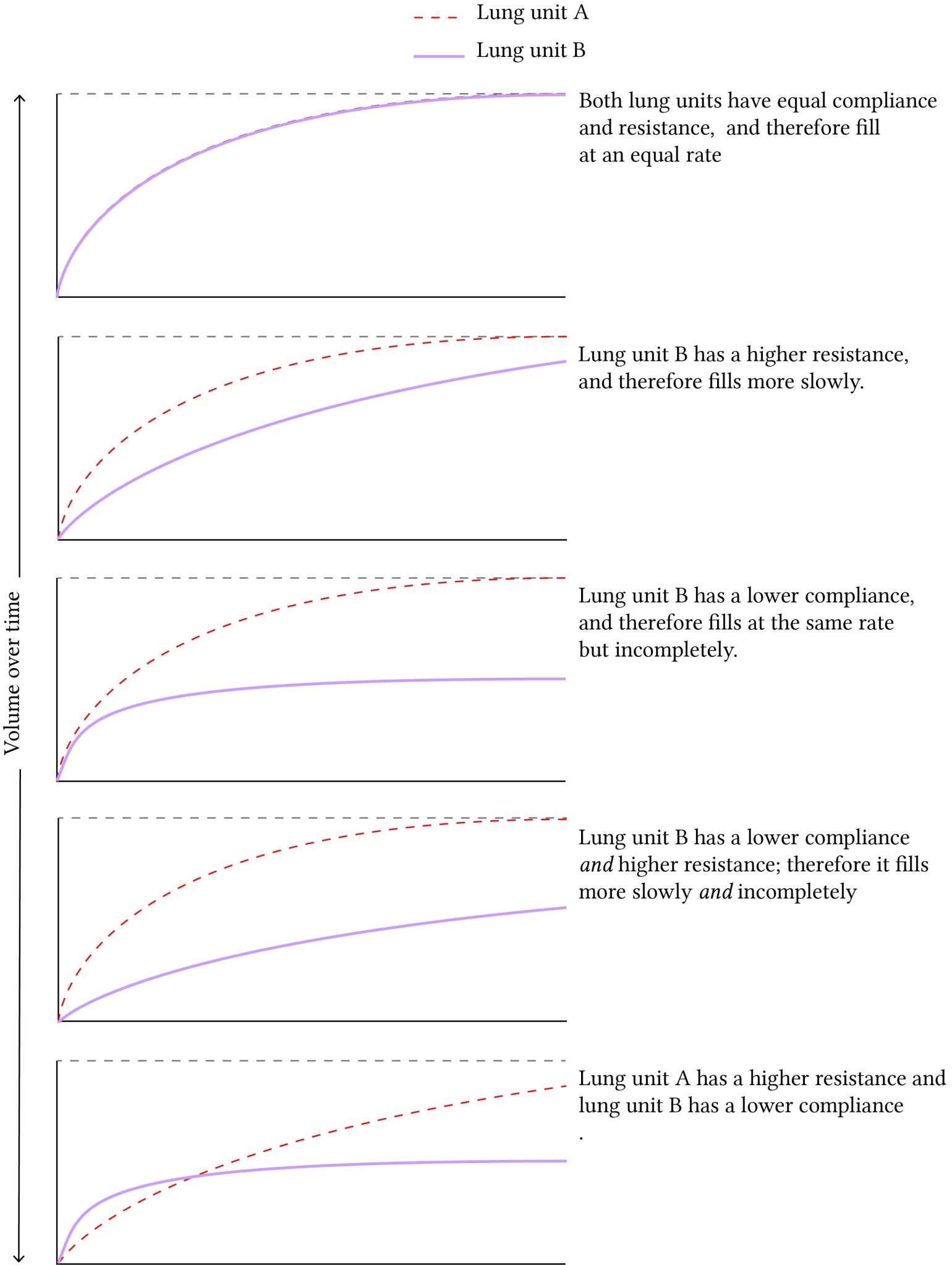 Time Constant of Lungs « Review of Critical Care Medicine