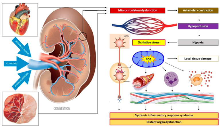2026 January 11 « Review of Critical Care Medicine